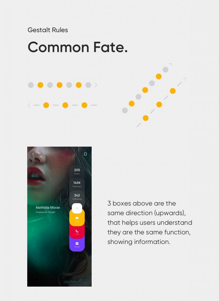 The Visceral Emotional - Designer. Writer. Animal Lover.